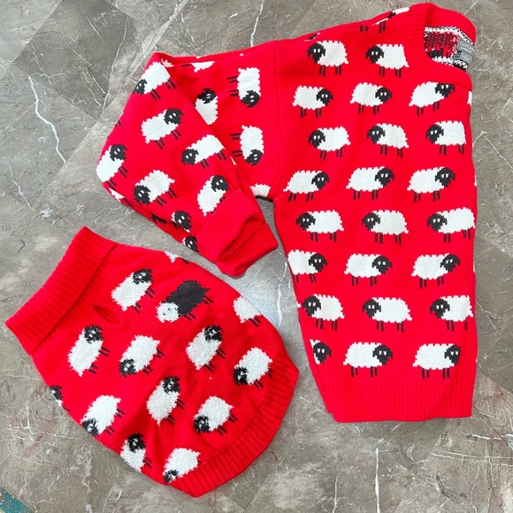 Francesca's Collections | Sweaters | Matching Human And Dog Sweater Set ...